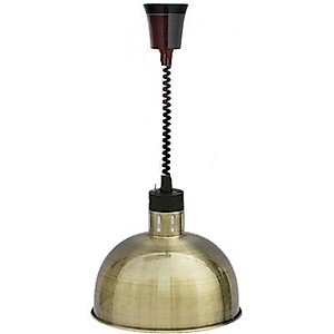 JIAWANSHUN Food Warmer Lamp Food Heat Lamp Warmer with Bulb 250W Commercial Food Warmer Restaurant or Home Food Service 110V