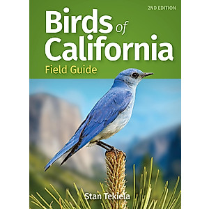 Birds of California Field Guide (Bird Identification Guides)