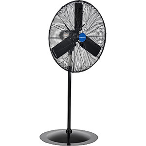 Global Industrial Outdoor Oscillating Pedestal Fan, 30" Diameter, 3/10HP, 8400CFM