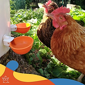 (5 Pack) Lil Clucker Large Automatic Chicken Waterer Cups | Chicken Water Feeder Suitable for Chicks, Duck, Goose, Turkey and Bunny | Poultry Water Feeder Kit (Orange)