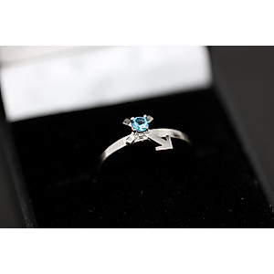 CaliRoseJewelry Sterling Silver Sagittarius Zodiac Ring for Women with December Birthstone (Size 8.5)