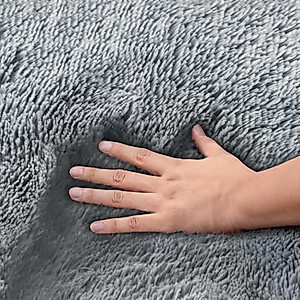 ROCYJULIN Rug, 8x10, Light Grey, High Pile, Area Rug for Living Room, Bedroom, Dorm Room, Playroom, Kids Room