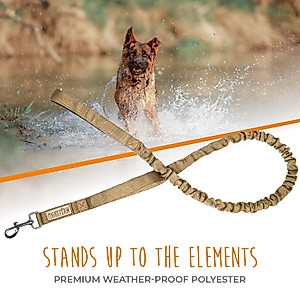 Mighty Paw Tactical Dog Leash - Dual Handle - Shock Absorbing Bungee Dog Leash - Comfortable Neoprene Padding - Premium Leash - Long Dog Leash - Dog Leash with Traffic Handle - Dog Lead (Canvas)
