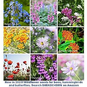 Asian Bitter Gourd Seeds for Planting Vegetables and Fruits(苦瓜).Vegetable Seeds at Home Vegetable Garden & Hydroponics Seed Pods-Bitter Melon Seeds for Planting-10 Tai Guo Bitter Melon Plant Seeds