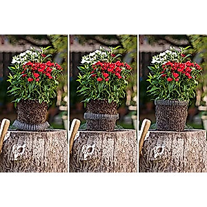 boUod 5pcs 15 Gallon Gopher and Vole Wire Baskets Protect Plants, Trees, Flowers and Bulbs from Voles, Gophers and Moles