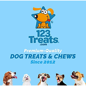123 Treats - Meaty Dog Bone Treat - Large 100% Natural Pork Chews for Dogs Dog Bones for Aggressive Chewers (Pork, 2 Count)