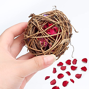 DAMPET Small Animals Play Balls, Chew Grass Balls & Rolling Chew Toys for Bunny, Improve Pets Dental Health for Rabbit, Chinchilla, Guinea Pigs, Hamsters, Gerbils, Rats, Mice (6 Pieces)