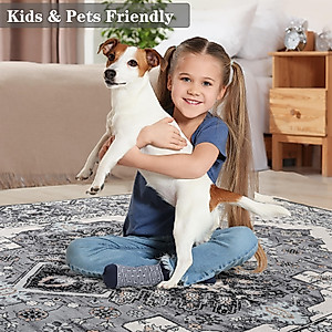 Noahas Grey 6x9 Area Rugs for Living Room, Vintage Machine Washable Rug,Low Pile Print Large Living Room Rug