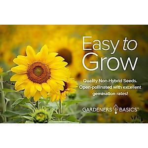 Sunflower Seeds for Planting Flowers (8 Pack) - Velvet Queen, Skyscraper, Lemon Queen, Giant , Autumn Beauty, Chocolate Cherry, Dwarf Sunspot and Mammoth Bulk Outdoor Flower Garden by Gardners Basics