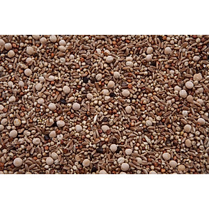 No Corn Regular Pigeon Mix (13%) 8 lbs