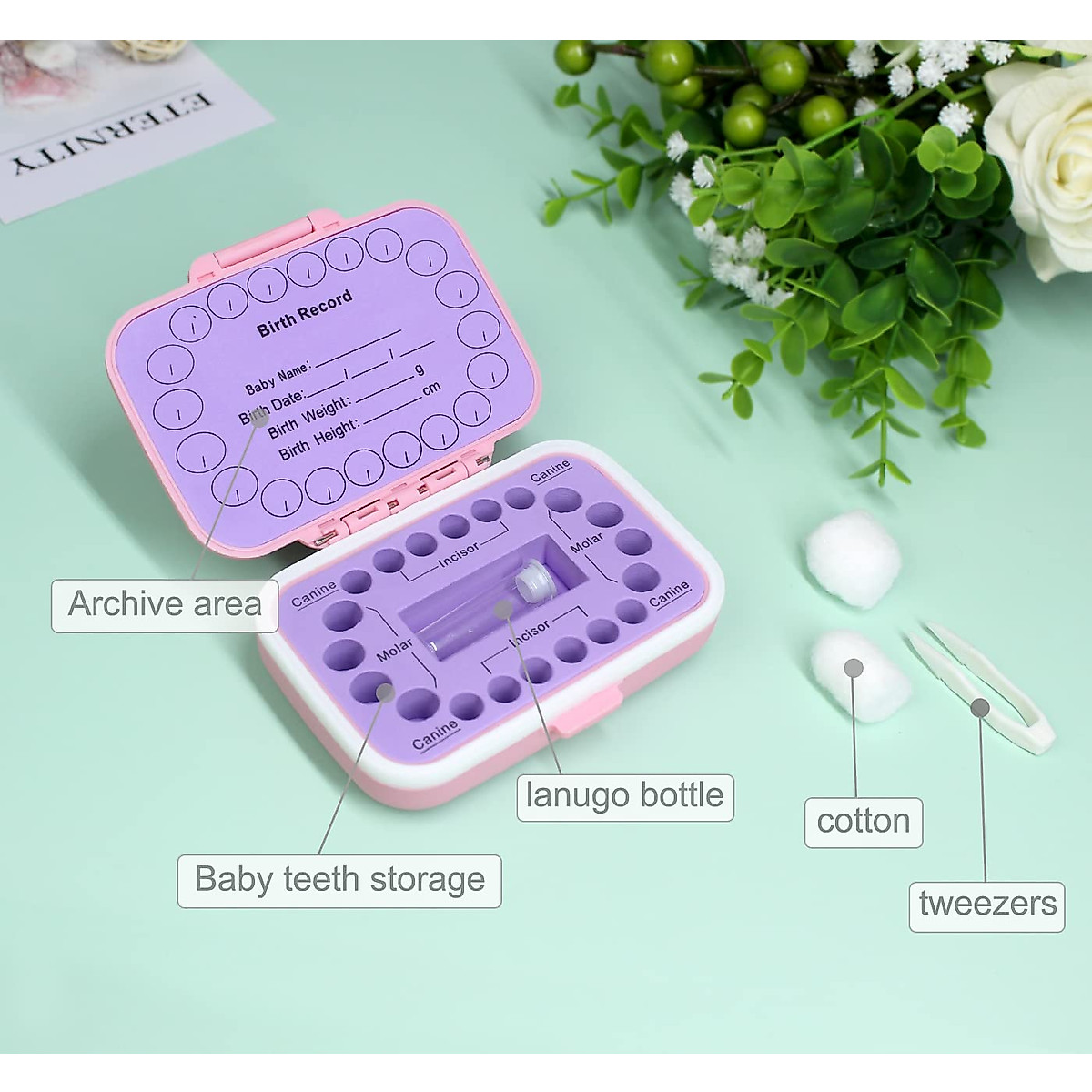 Vewye Baby Tooth Box Kids Keepsake Organizer Cute Children Tooth Fetal Hair Container with English Mark (Rainbow-Pink)