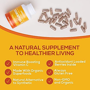 Paleovalley Essential C Complex - Vitamin C Supplement for Immune Support - 3 Pack, 450mg - From Organic Superfoods Unripe Acerola Cherry, Camu Camu, Amla Berry - No Synthetic Ascorbic Acid - USA Made