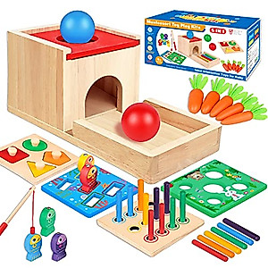 Montessori Toys for 1 2 3 Year Old, 5 in 1 Wooden Montessori Toys for Babies 6-12 Months, Toddler Toys Kit Includes Object Permanence Box with Ball Drop Toy, Shape Sorter & Other Educational Toys