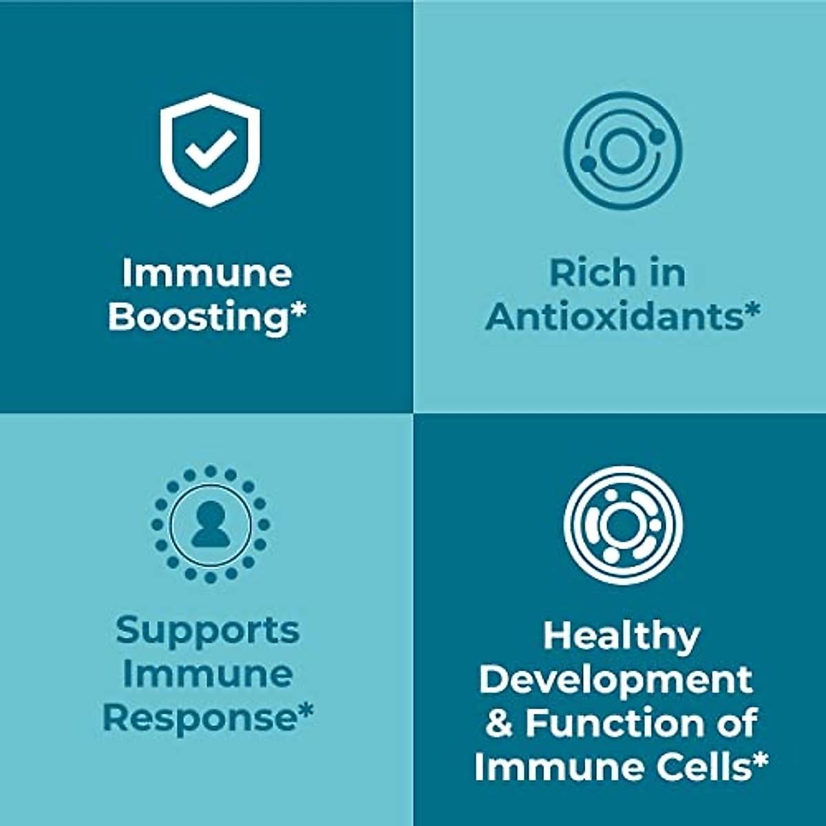 Hyland's Naturals Kids Organic Elderberry Plus Gummies, Organic Black Elderberry with ZINC and Vitamin C, Immune Support for Children, 48 Vegan Gummies (2 Pack)