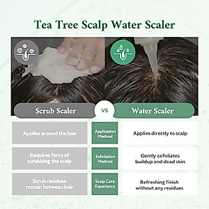 STEAMBASE Tea Tree Scalp Treatment | Purifies and Exfoliates Oily Scalp | Natural BHA & Tea Tree | Removes Odor & Buildup | Hypoallergenic Exfoliator, 8.42 fl oz
