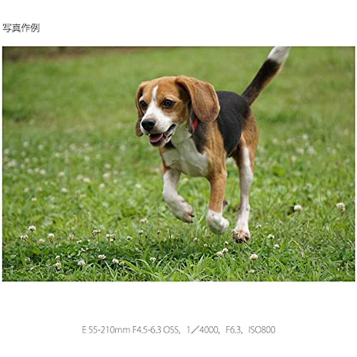 Sony E 55-210mm F4.5-6.3 Lens for Sony E-Mount Cameras (Black)