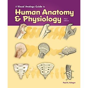 Visual Analogy Guide to Human Anatomy & Physiology