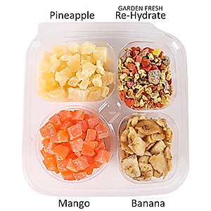 Sugar Glider Treat Variety Pack (9.5 oz.) - Healthy Natural Sugar Glider Treat Assortment - Yogurt Drops, Crunchez Berry Blend, Dried Papaya, Dried Pineapple - Sampler Variety Value Package