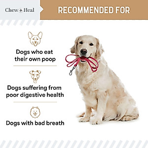 Stop The Poo Chew Coprophagia Treatment for Dogs - 120 Soft Chews - Peanut Butter Flavor Dog Deterrent for Dogs Eating Poop - Treats Bad Breath and Boosts Gut Health - Made in USA