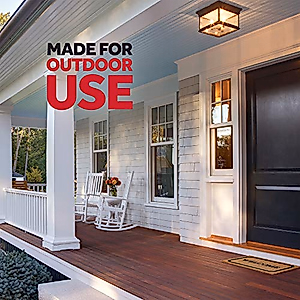 Raid Wasp and Hornet Killer Spray, Kills the entire nest, Kills Paper Wasps, Yellow Jackets, Mud Daubers and more, 14 oz