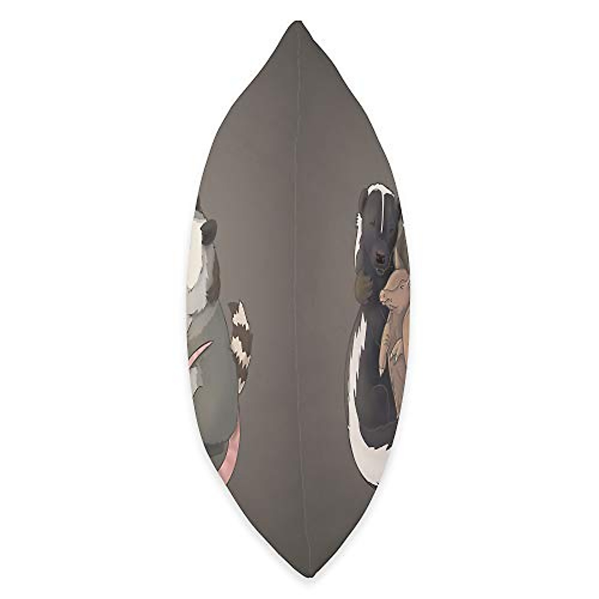 The Roadkill Rebels Group Hug-Raccoon, Possum, Skunk, and Armadillo Throw Pillow, 16x16, Multicolor