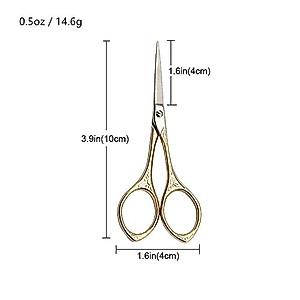 HITOPTY Small Embroidery Scissors, 3.9in Stainless Steel Sharp Craft Shears for Sewing, Art Work, Threading, Needlework Small Projects