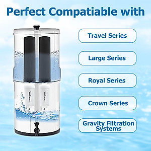 Larayci Fluoride Water Filter, Replacement for Berkey® PF-2® Elements, Berkey® Gravity Filtration System, including Big, Travel, Royal, Imperial and Crown Series, Natural filter material, Pack of 2
