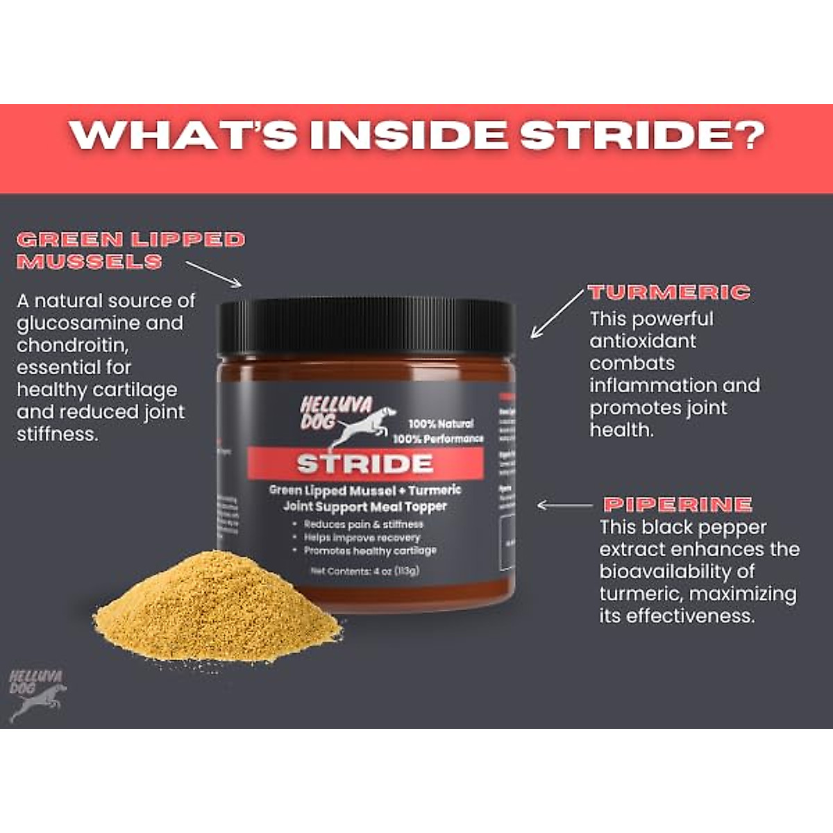 Homescape World Stride by Helluva Dog — Joint Support Meal Topper for Active Sporting Dogs — Green Lipped Mussel & Turmeric Powder for Mobility & Recovery 4oz