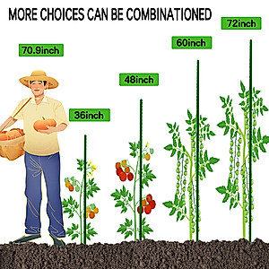 BOTINDO Garden Stakes 48 Inches Sturdy Green Plant Sticks 25 Pack, Metal Tomato Stakes Support, Yard Plant Support Cage for Potted Plants, Tomatoes, Trees, Cucumber, Fences, Beans (48 inch)