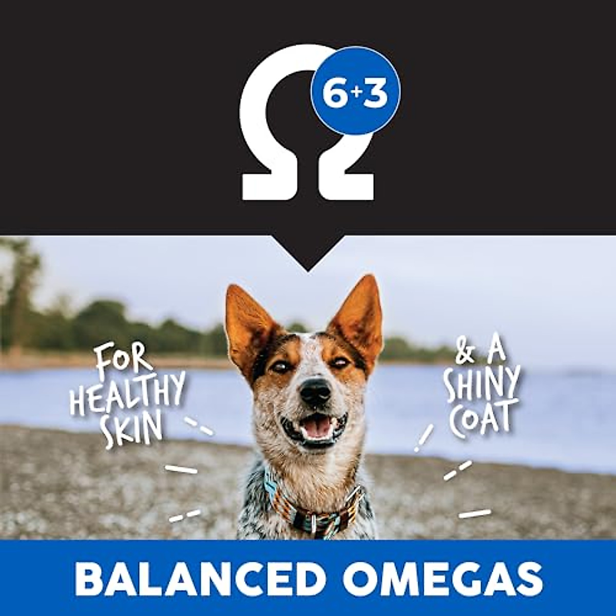 Ultimates Whitefish Meal & Rice Dry Dog Food (28 lb. Bag)