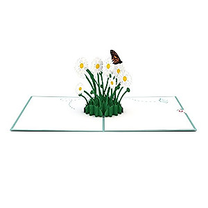 Lovepop Daisy Patch Pop Up Card - 3D Card, Greeting Card, Flower Card, Anniversary Card, Mother's Day Card, Birthday Card, Appreciation Card (Retiring Design)