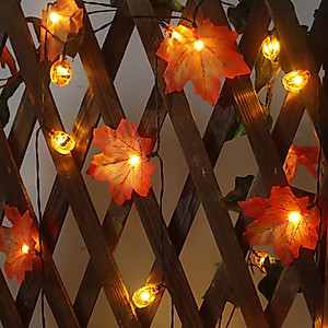 Xingpold Fall Decor Solar Pumpkin Maple Leaf String Lights Outdoor, 50LED 30ft Fall Garland with Lights Waterproof Pumpkin Lights for Thanksgiving Halloween Autumn Door Porch Home Garden Decorations