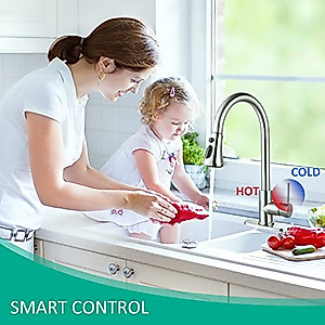 Kitchen Sink Faucet,Hans D'blanc Single Handle Single Hole Brushed Nickel Kitchen Faucet with Pull Down Sprayer 3 Modes for Kitchen RV Bar Sink,Included Deck Plate for Single or 3 Holes