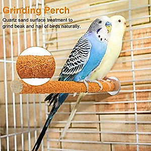 HBaby Parrot Perch Stand Toy Wooden Bird Perch Stand Birds Paw Grinding Rough-surfaced Stick Cage Accessories for Cockatiels,Cockatoo,Lorikeet,Random Color