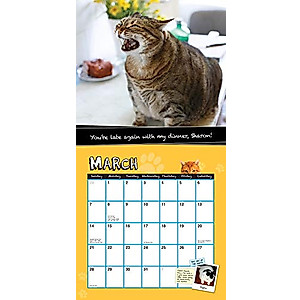 2021 Fat Cats Wall Calendar: A Monthly Calendar Full of Funny Felines and Hilarious Captions (The Perfect Funny Gift for Christmas and Cat Lovers)