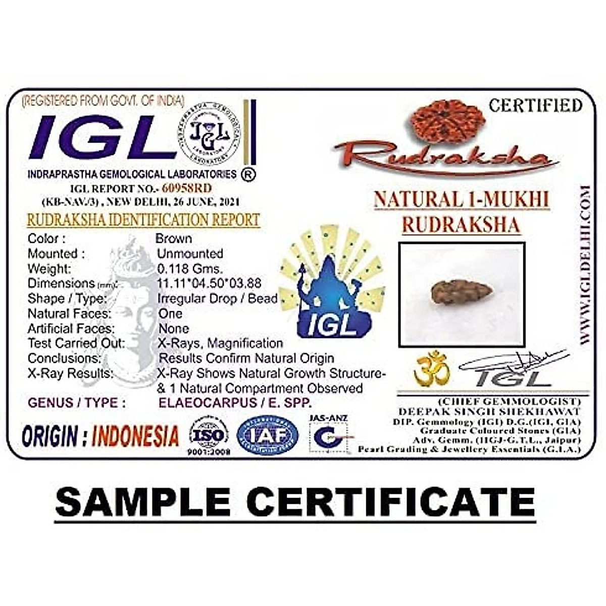 Vishaka Arts Natural 1 Mukhi Indonesian Rudraksha In Silver Case/One Mukhi Java Rudraksha In Silver Pendant 13mm-14mm IGL Certified