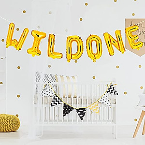 16 inch Happy Birthday Balloons, Birthday Banner, Birthday Decorations, and 12 Pieces Artificial Ivy Garland (Wild One)
