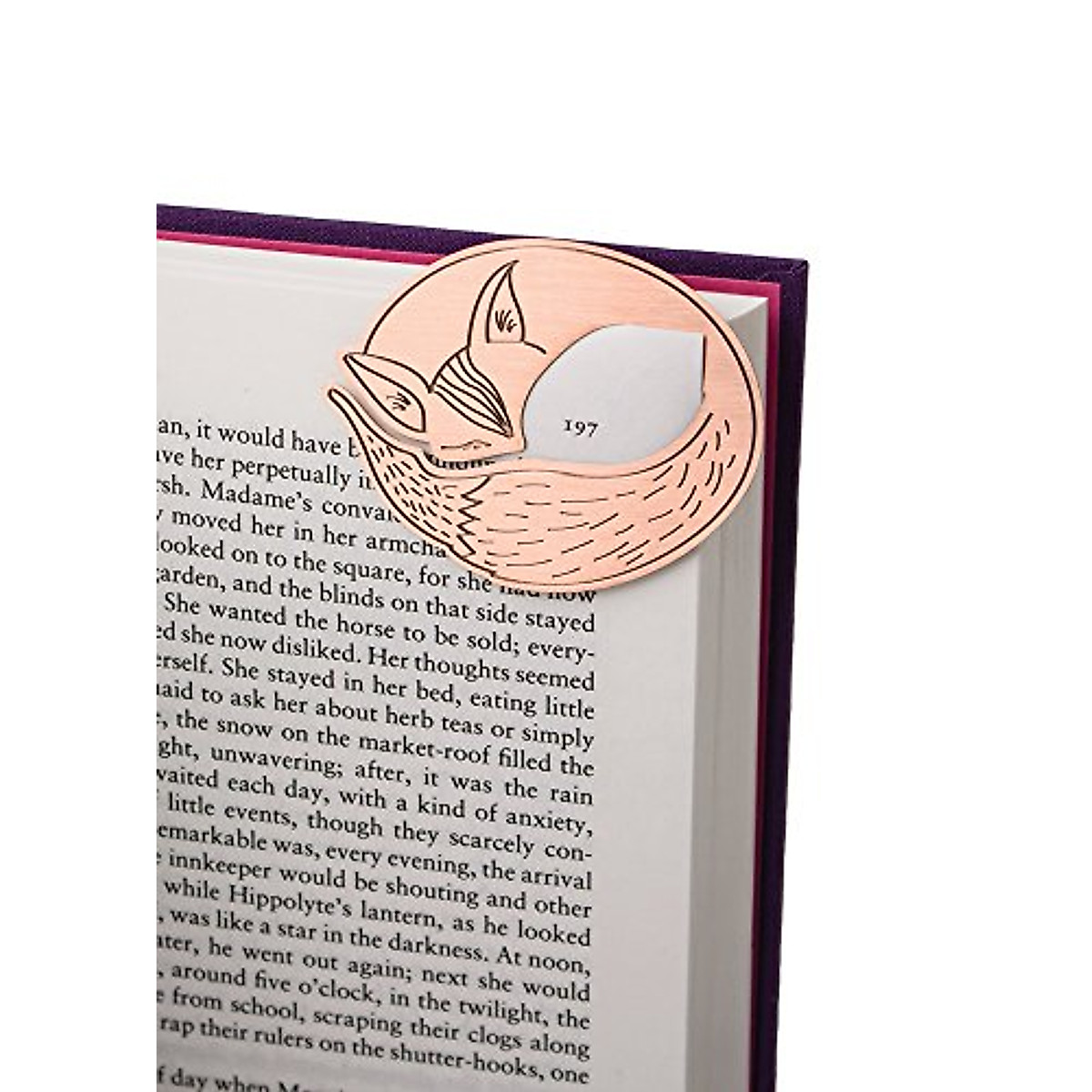 Curled Up Corners - Furled Fox