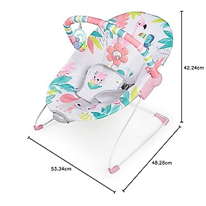 Bright Starts Baby Bouncer Soothing Vibrations Infant Seat - Removable-Toy Bar, Nonslip Feet, 0-6 Months Up to 20 lbs (Flamingo Vibes, Pink)
