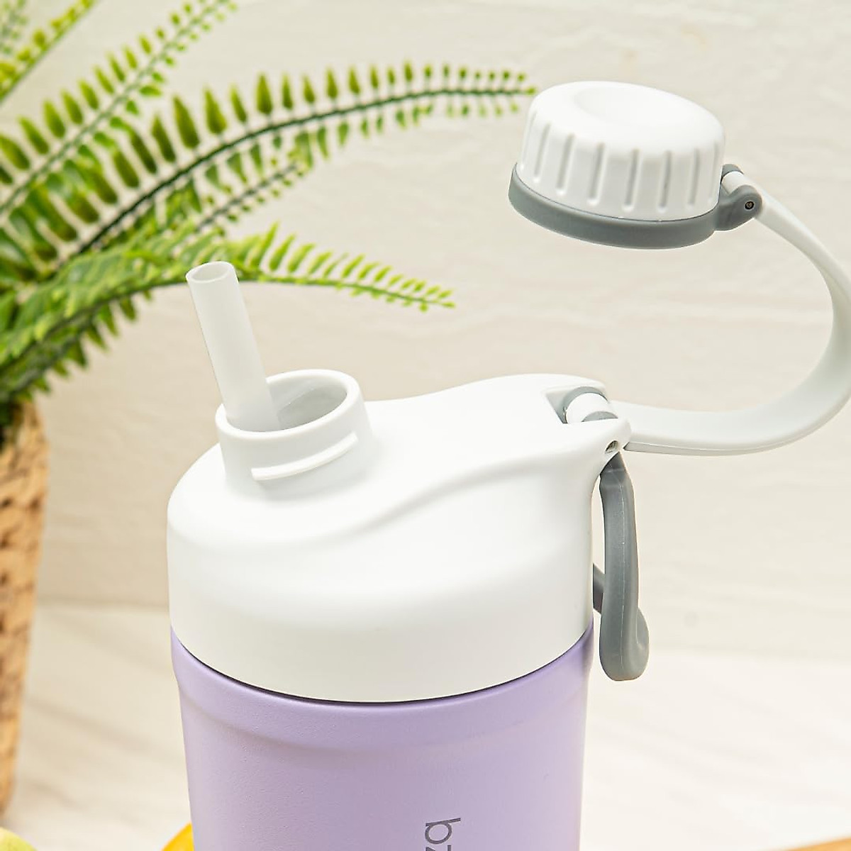 bzyoo 26oz Double-Walled Stainless Steel Insulated Tumbler with Straw Leak Proof Ideal for Smoothies, Ice Tea or Coffee Includes Mixer Ball BPA Free - Organica Purple