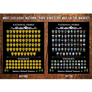 Bright Standards National Parks Scratch Off Map of United States Poster [Includes Wildlife], National Parks Map, US Travel Maps, USA Gifts for Travelers Road Trip Adventure, Fits 16”x20” frame