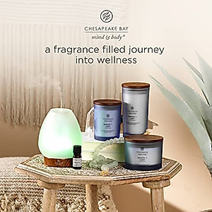 Chesapeake Bay Scented Candle | Serenity + Calm 3 Wick Tumbler Aromatherapy Candle | Burn Time: Up to 24 Hours | Mind & Body Collection (PT40892E)