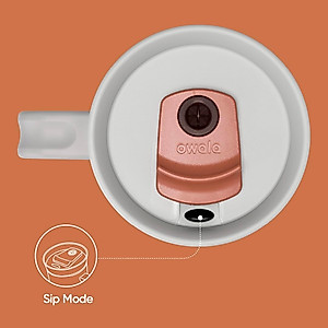 Owala Stainless Steel Triple Layer Insulated Travel Tumbler with Spill Resistant Lid, Straw, and Carry Handle, BPA Free, 40 oz, Gray (Iced Tea)