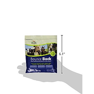 Manna Pro Bounce Back Supplement | Multi-Species Electrolyte | 4 oz