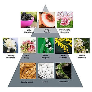 Perry Ellis 360° Purple Body Mist, 8 Ounce