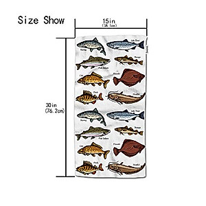 HGOD DESIGNS Fish Hand Towels,Fresh Fish and Seafood Animals 100% Cotton Soft Bath Hand Towels for Bathroom Kitchen Hotel Spa Hand Towels 15"X30"