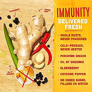 Vive Organic Wellness Rescue Shot, Ginger, Elderberry & Oil of Oregano, 2 Oz