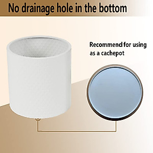 LuxenHome Planters for Indoor Plants, Set of 2 Plant Pots, White Planter, Luxury Flower Pots for Indoor Plants, Plant Pot for Indoor Plants, Plant Pots Indoor with Gold Metal Stand NOT Waterproof