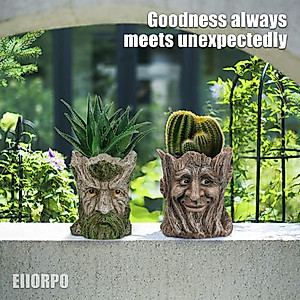 EIIORPO Face Planter,Head Planter Garden Pots Resin Face Planter Flower Pots Succulent Planters Funny Planters for Indoor Plants Yard Art Garden Decorations Creative Gift.(B)