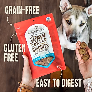 Stella & Chewy’s Freeze-Dried Raw Coated Dog Biscuits – Grass-Fed Beef Recipe – Protein Rich, Grain Free Dog & Puppy Treat – Great Snack for Training & Rewarding – 9 oz Bag